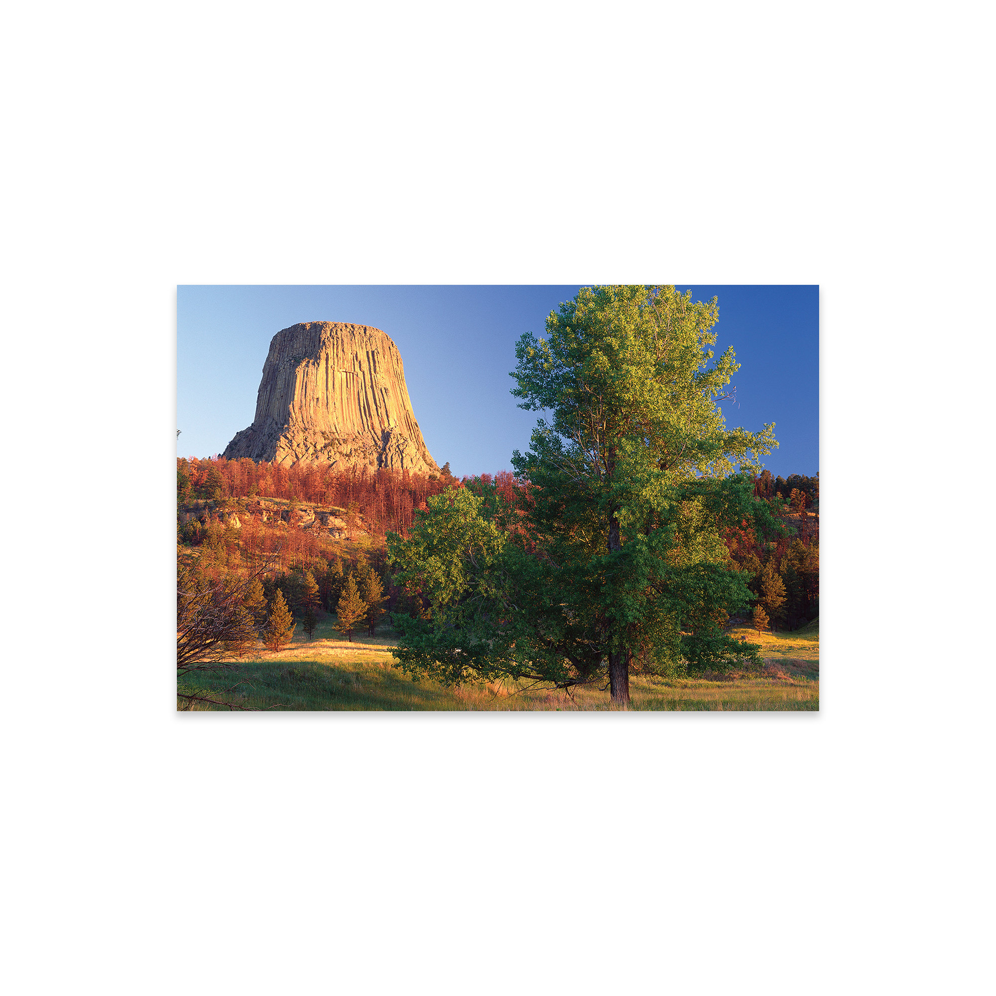 Millwood Pines Arihana Devil's Tower National Monument Showing Famous ...