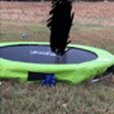 AirZone Play Jump In-Ground 8' Round Trampoline & Reviews | Wayfair