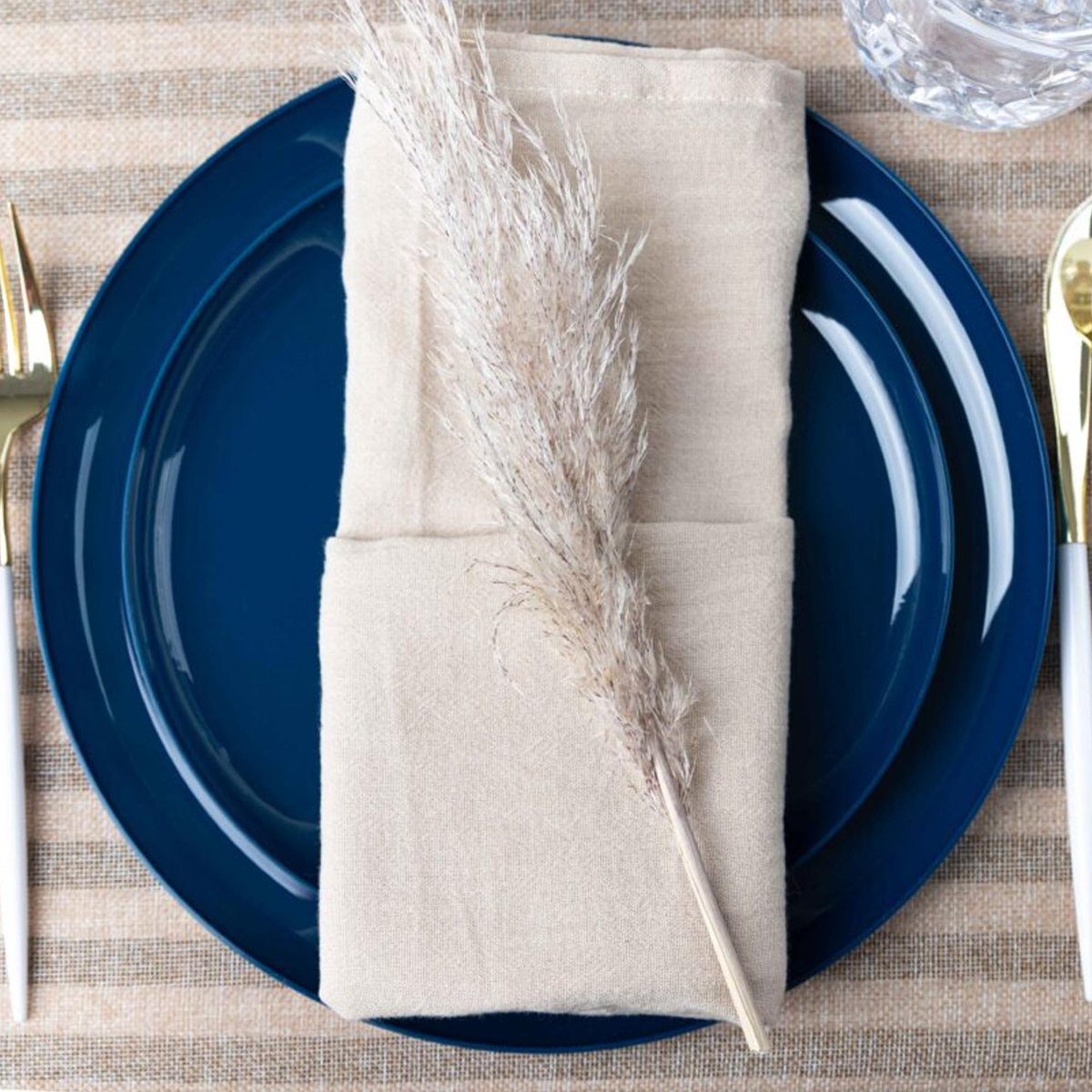 EcoQuality Disposable Round Plastic Plates Edge Collection 50 Guests ...