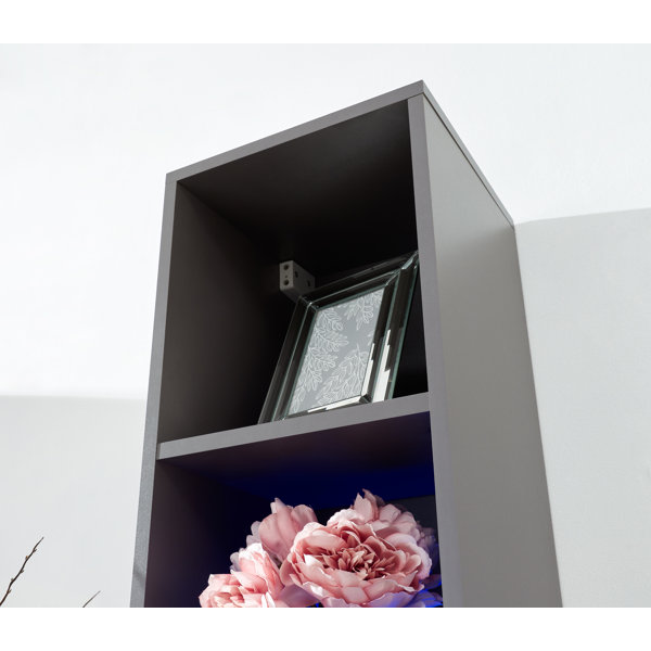 Wade Logan Kedzie Wall Mounted Display Cabinet with Lighting & Reviews ...