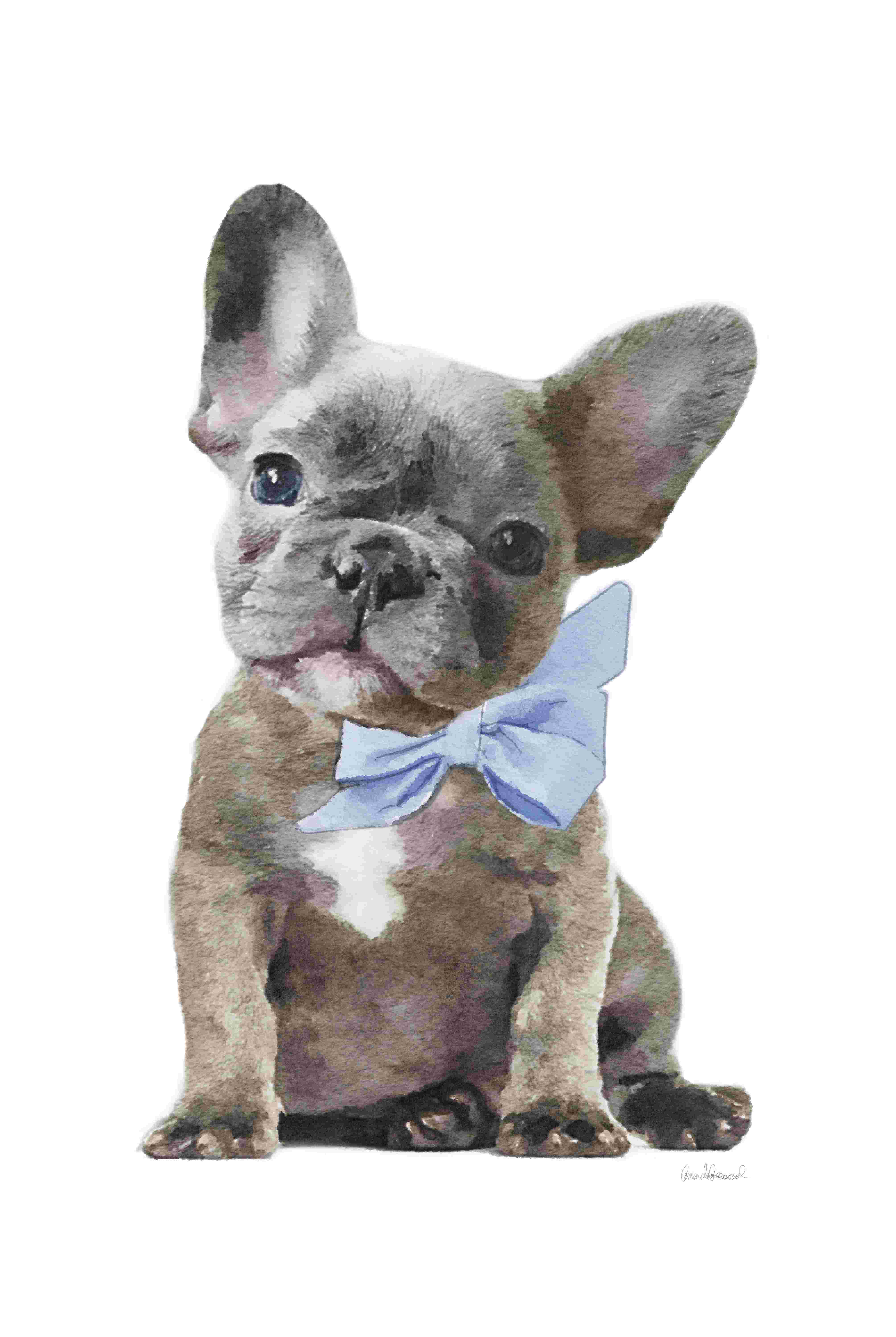 Winston Porter Frenchie Xi - Wayfair Canada