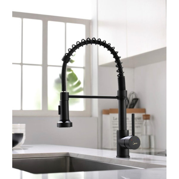 MAX Faucets | PULL-DOWN SPIRAL FLEXIBLE KITCHEN FAUCET 16.5" - Wayfair ...