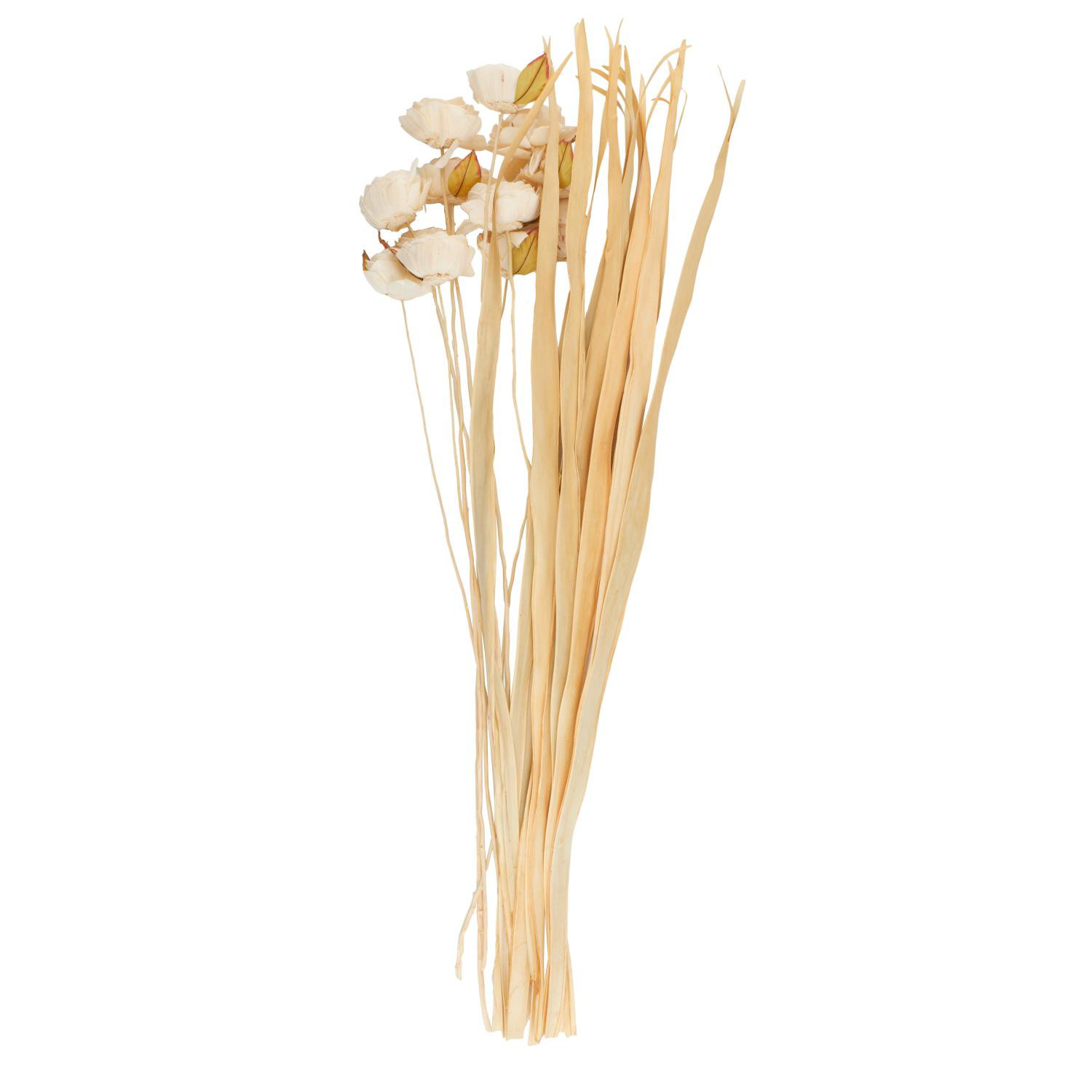Primrue Eloise Cole And Grey Dried Plant Tall Natural Foliage With ...