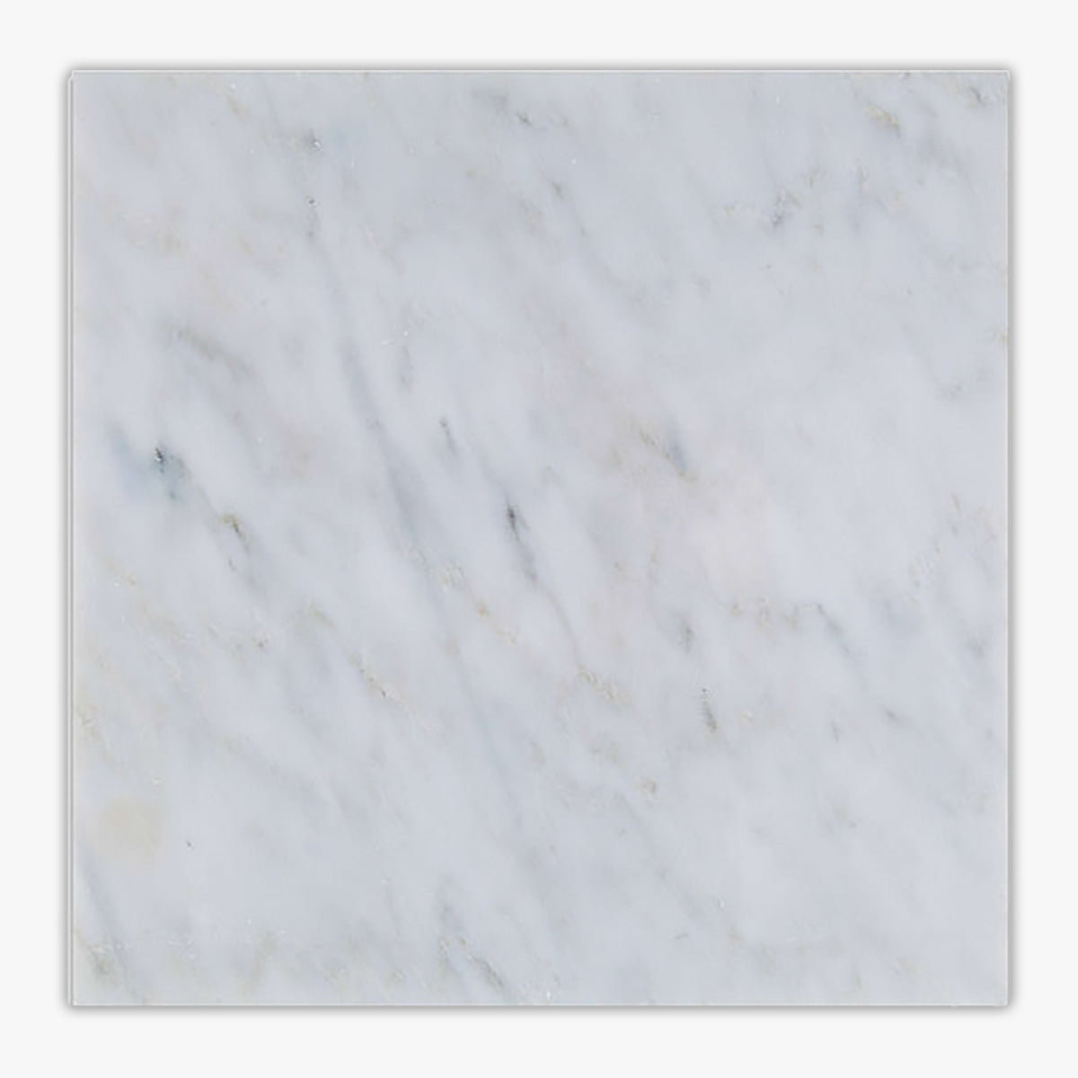 Calacatta Tile 24" x 24" Marble Wall & Floor Tile | Wayfair