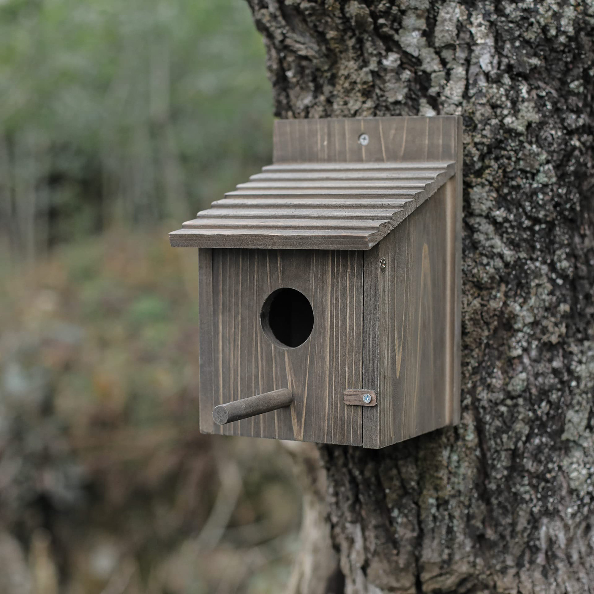 Ophelia & Co. Wooden Weatherproof Birdhouse | Pole & Hanging Mount ...