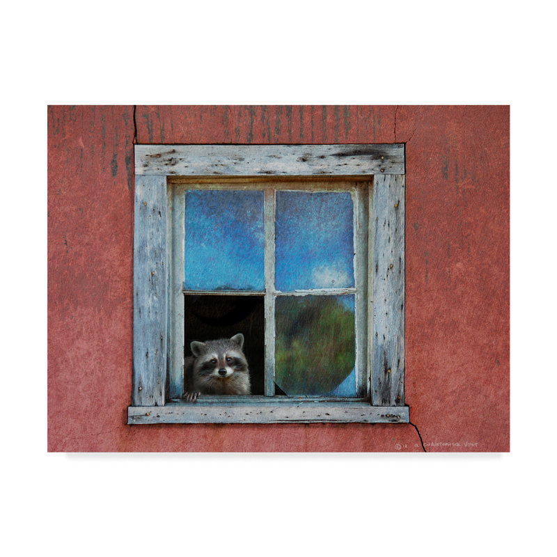 Millwood Pines Raccoon Window On Canvas by Chris Vest Print | Wayfair
