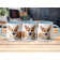 East Urban Home Set of 2 – 11oz Adorable Corgi Dog Happy Face Design ...