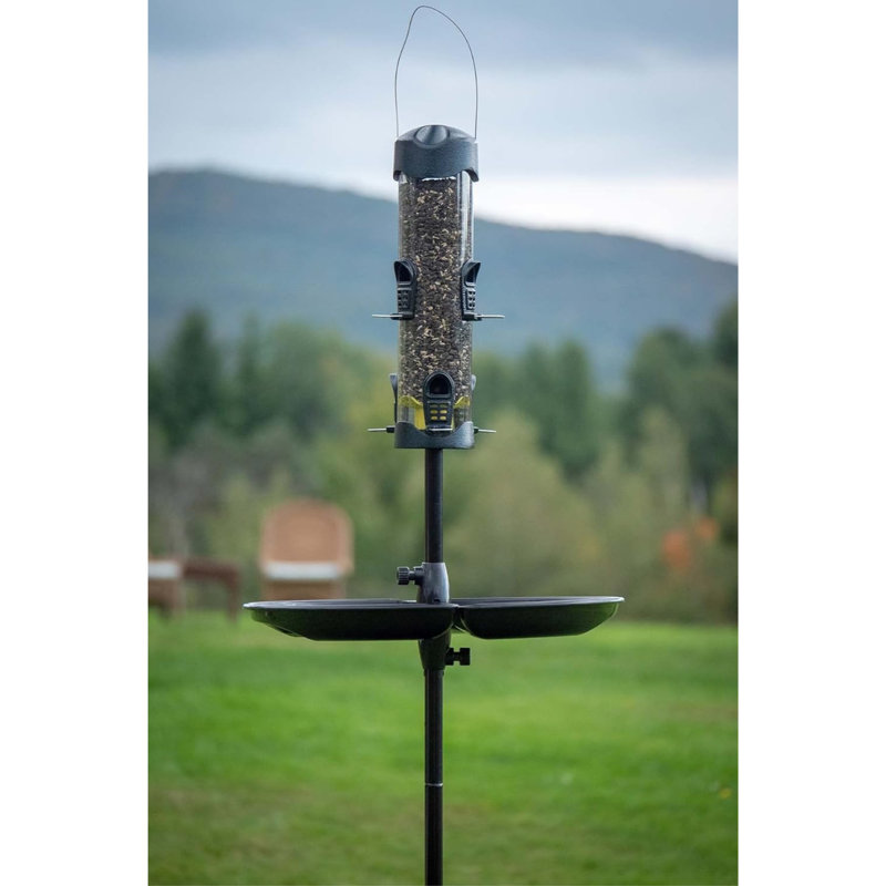 Latitude Run® Mega 600 Tube Wild Bird Seed Feeder, Green | Wayfair