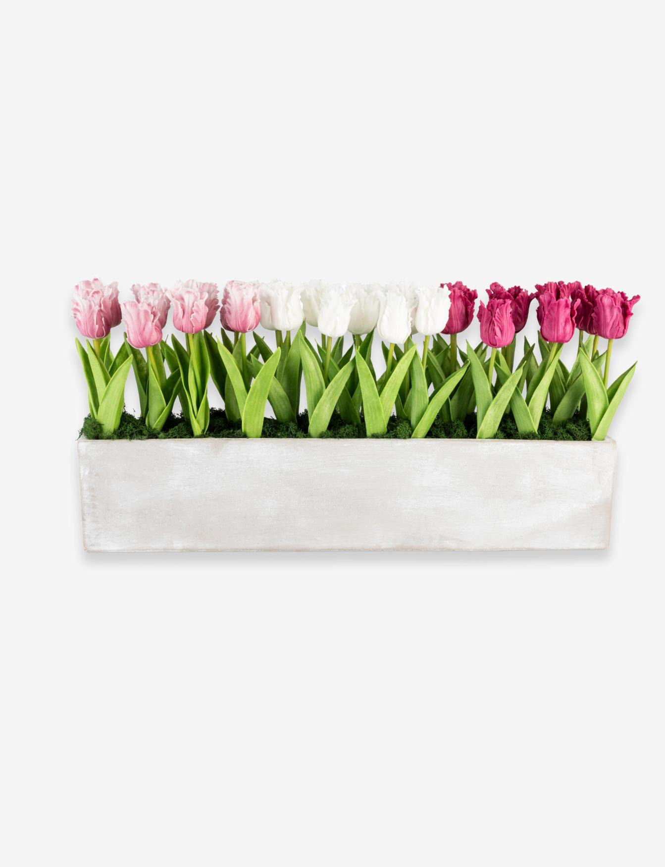 CocoBella Artful Interiors Polyethylene (PE) Tulip Arrangement in Vase ...