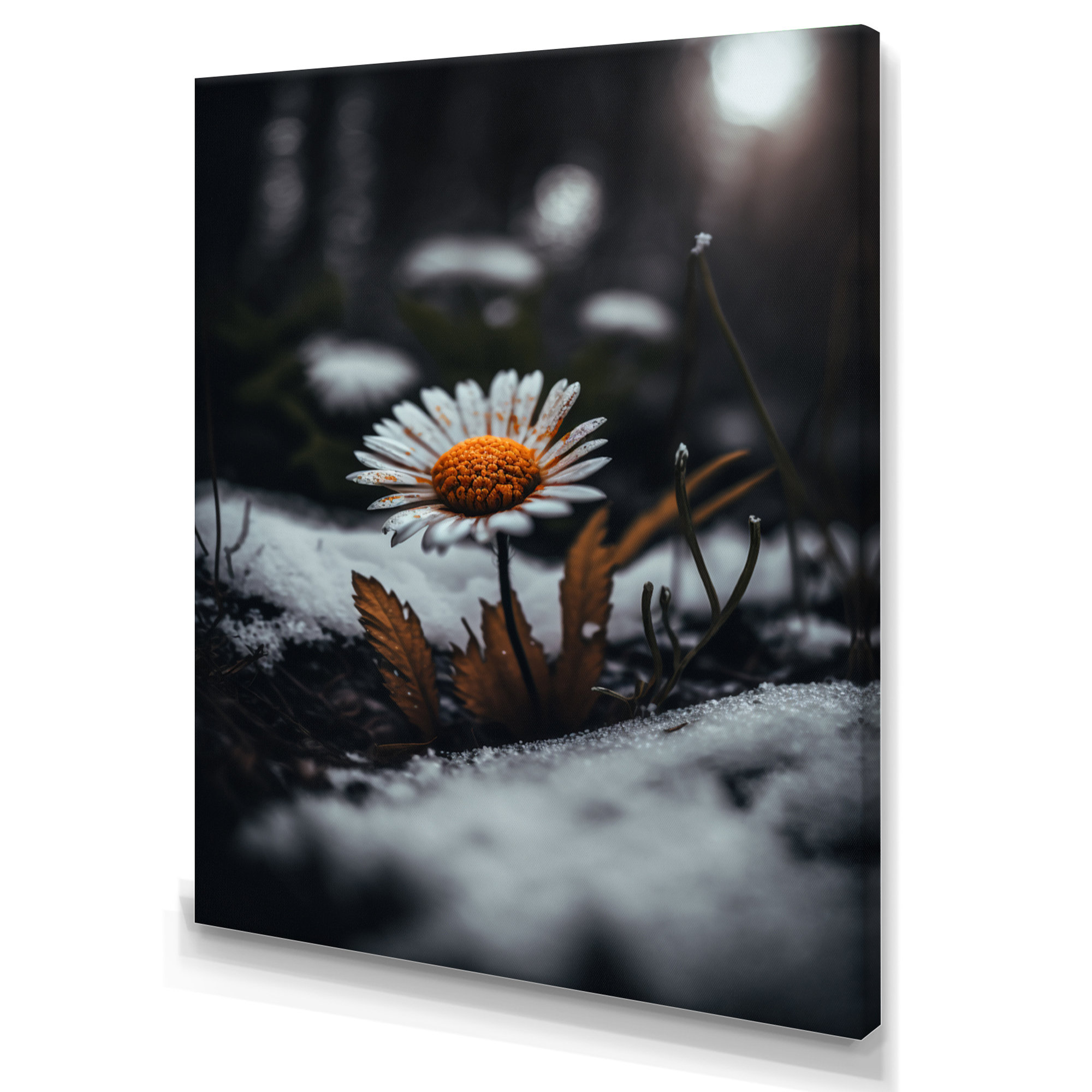 Latitude Run® A Blooming Orange Daisy Flower in Winter I - Graphic Art ...