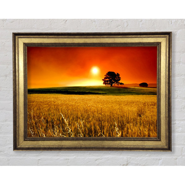 Bright Star Stunning Countryside Sunset - Single Picture Frame Art ...
