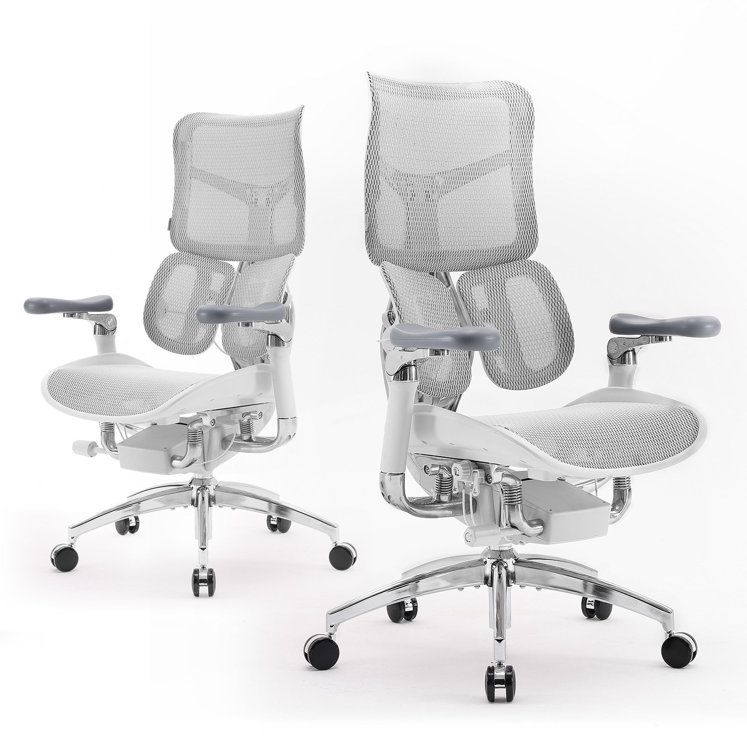 Inbox Zero Ergonomic Office Chair - Dual-layer Dynamic Lumbar Support ...