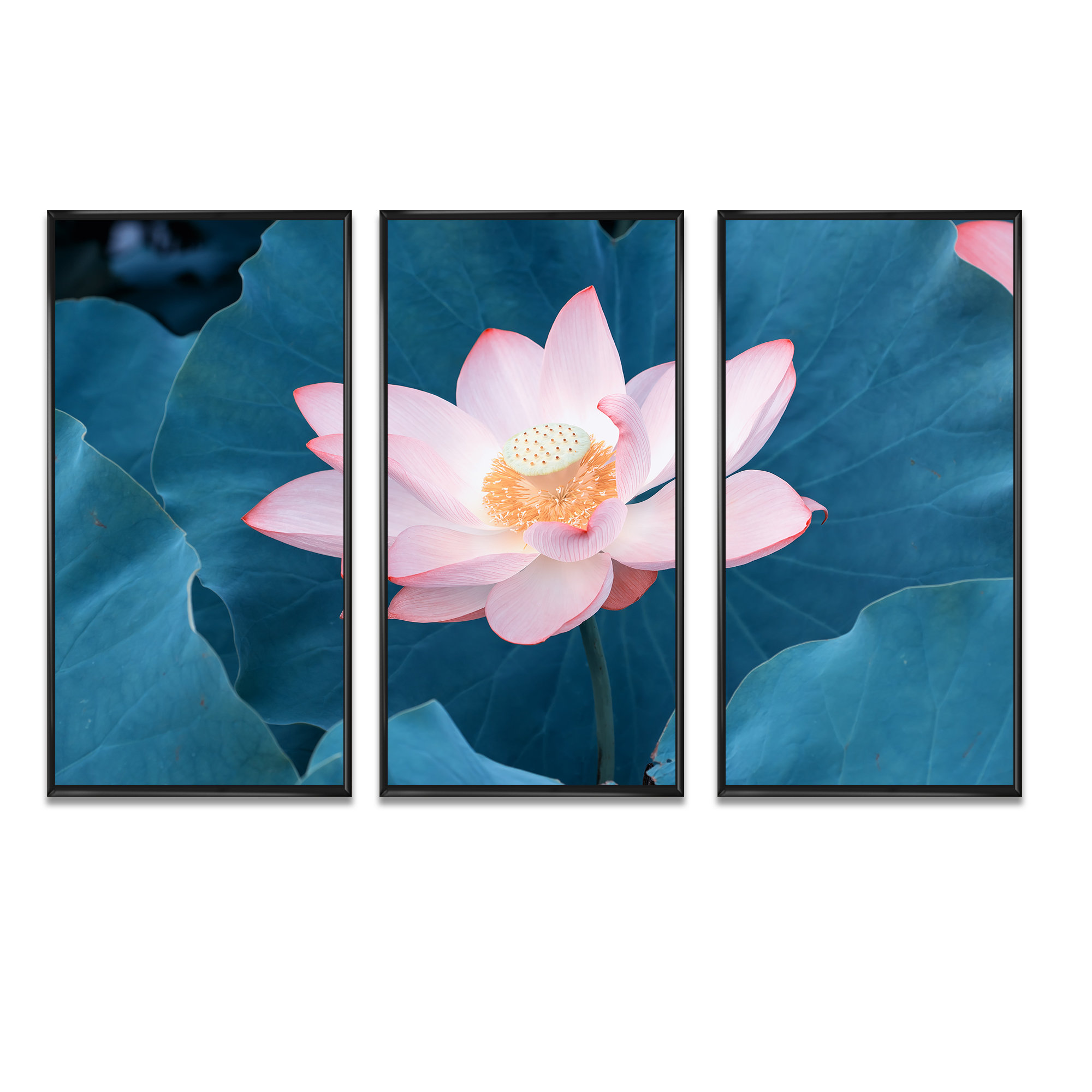 Winston Porter Blooming Pink Lotus Flower - Sea & Shore Framed Canvas ...
