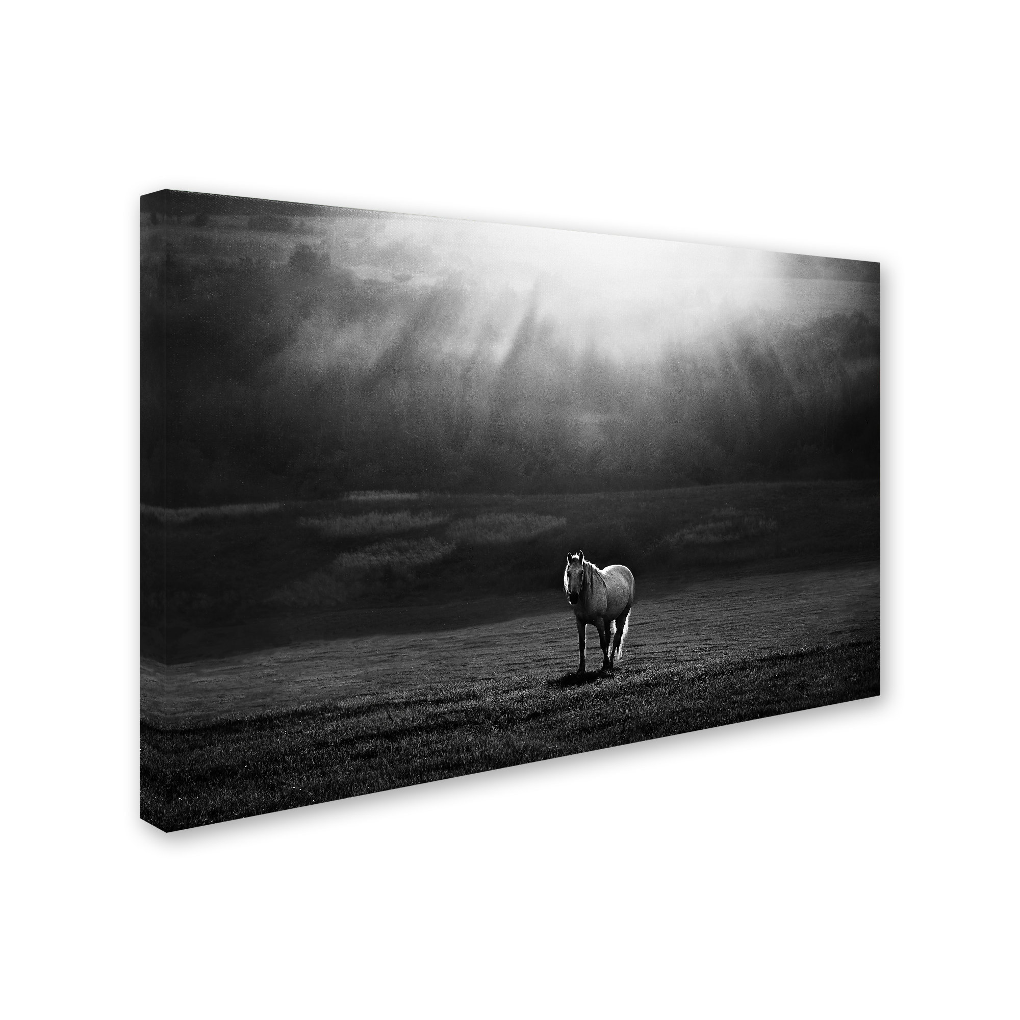 Union Rustic 'Morning Appearance' Graphic Art Print on Wrapped Canvas ...