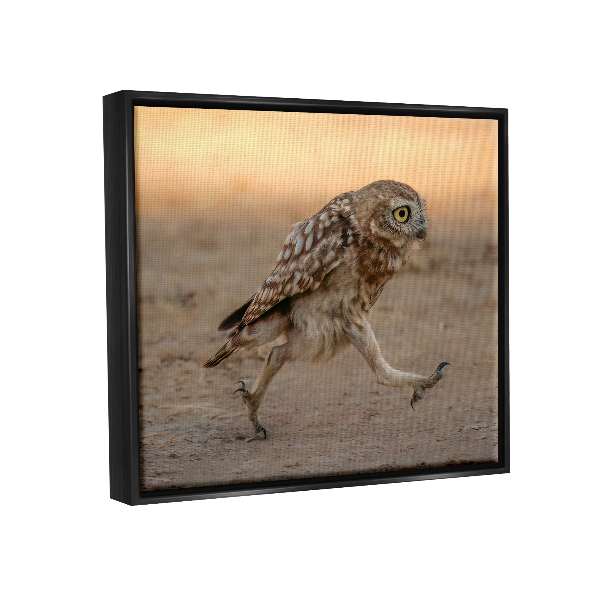 Stupell Industries Rushing Little Owl Framed Floater Canvas Wall Art by ...
