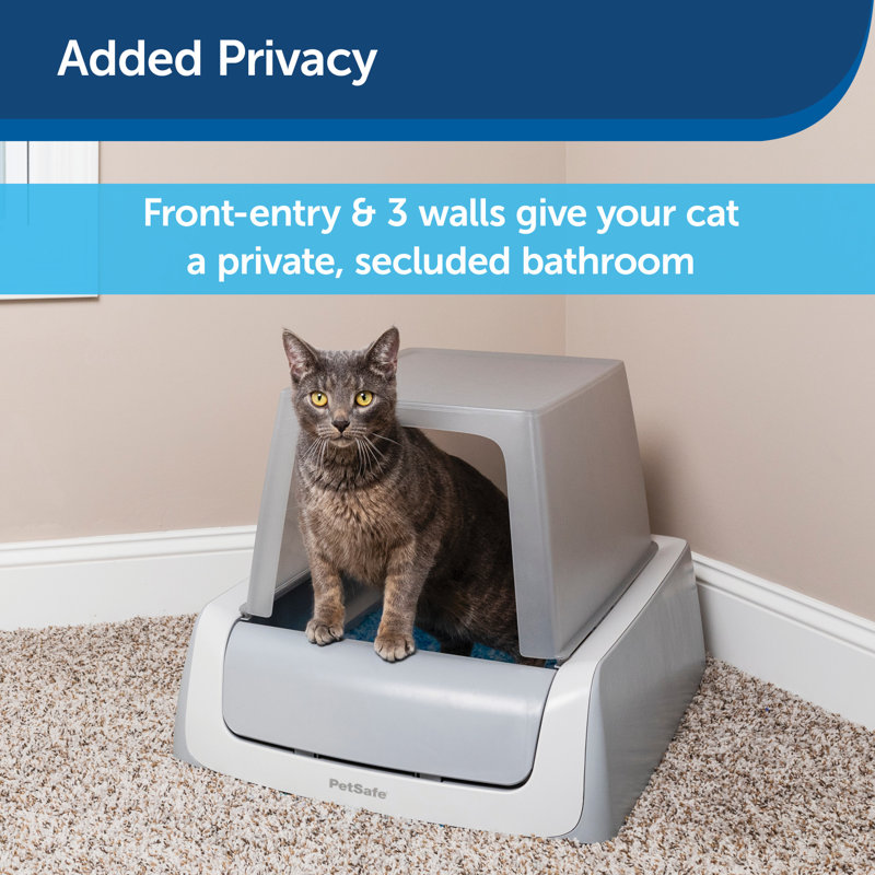PetSafe® ScoopFree Litter Box Privacy Hood & Reviews | Wayfair