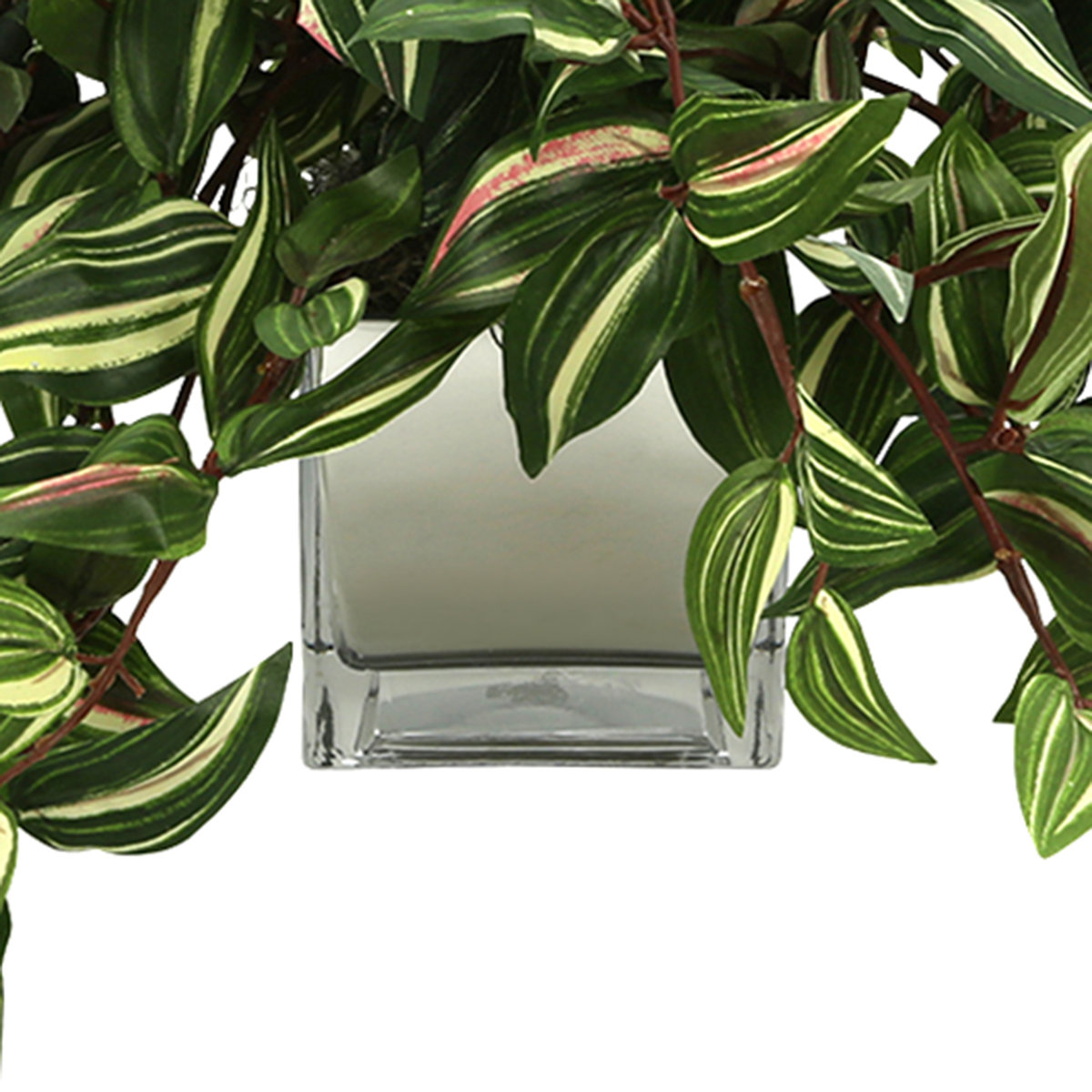 Creative Displays, Inc. Wandering Jew Arrangement In Square Glass Pot ...