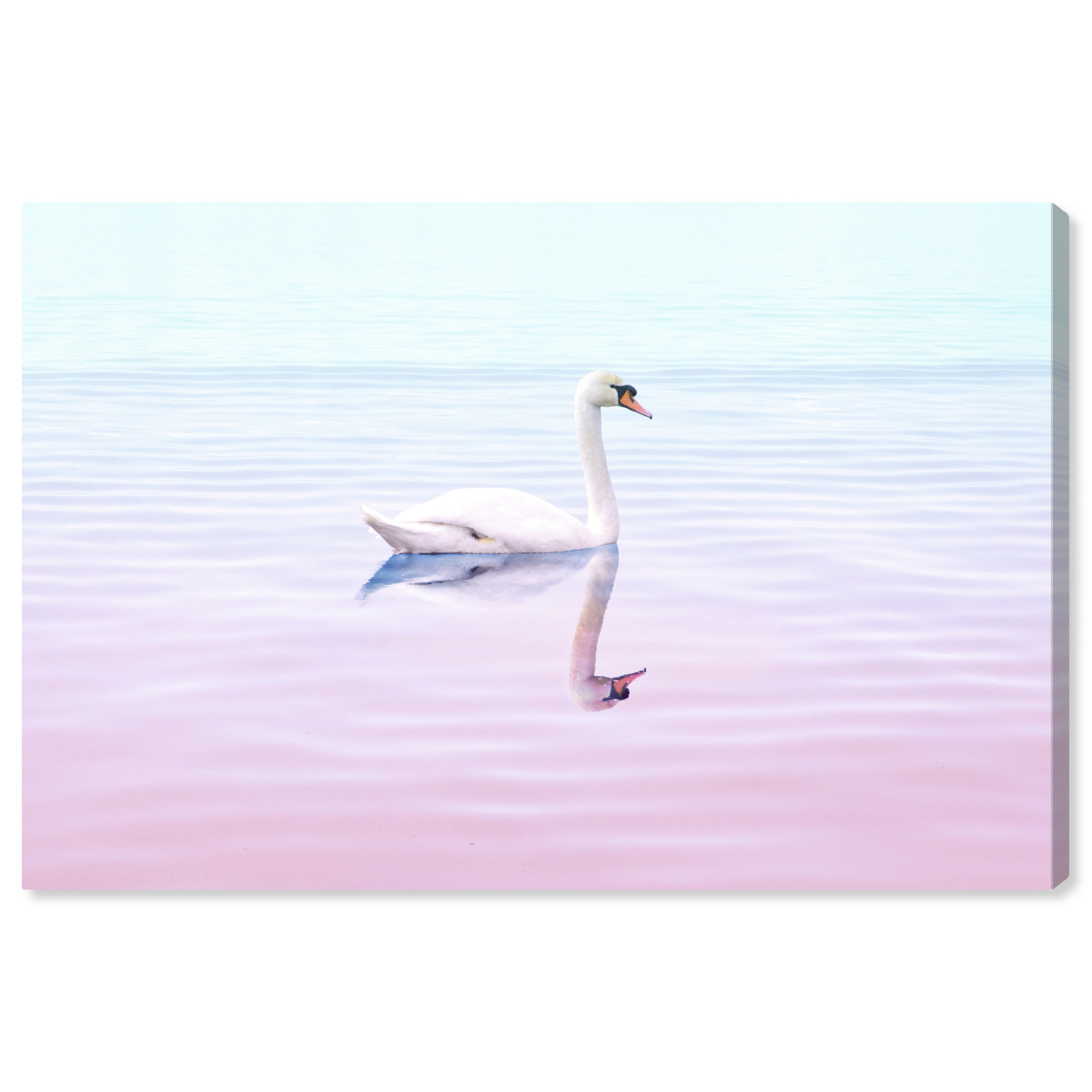 Mercer41 Animals Swan Reflected in Pastel Colors Modern Pink Canvas ...