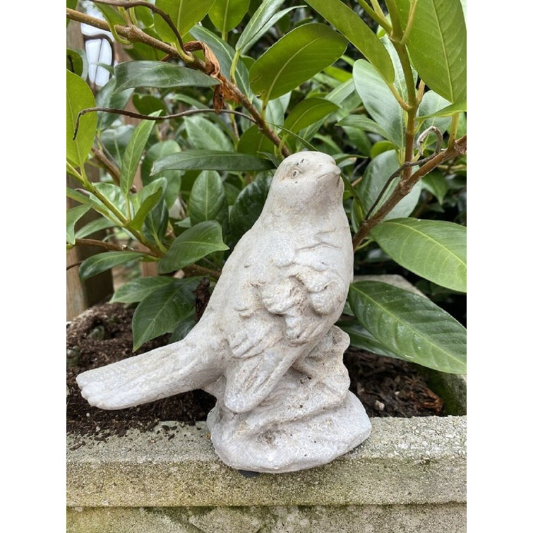 Rosalind Wheeler Rayan Bird Animals Concrete Garden Statue & Reviews ...