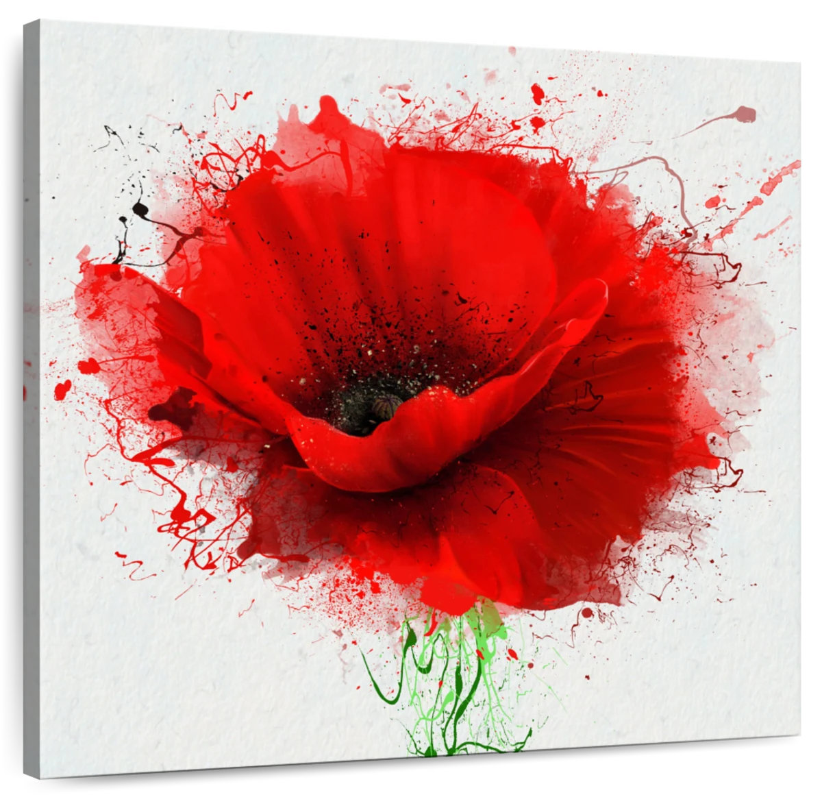 Lark Manor Red Poppy Splash - Wayfair Canada