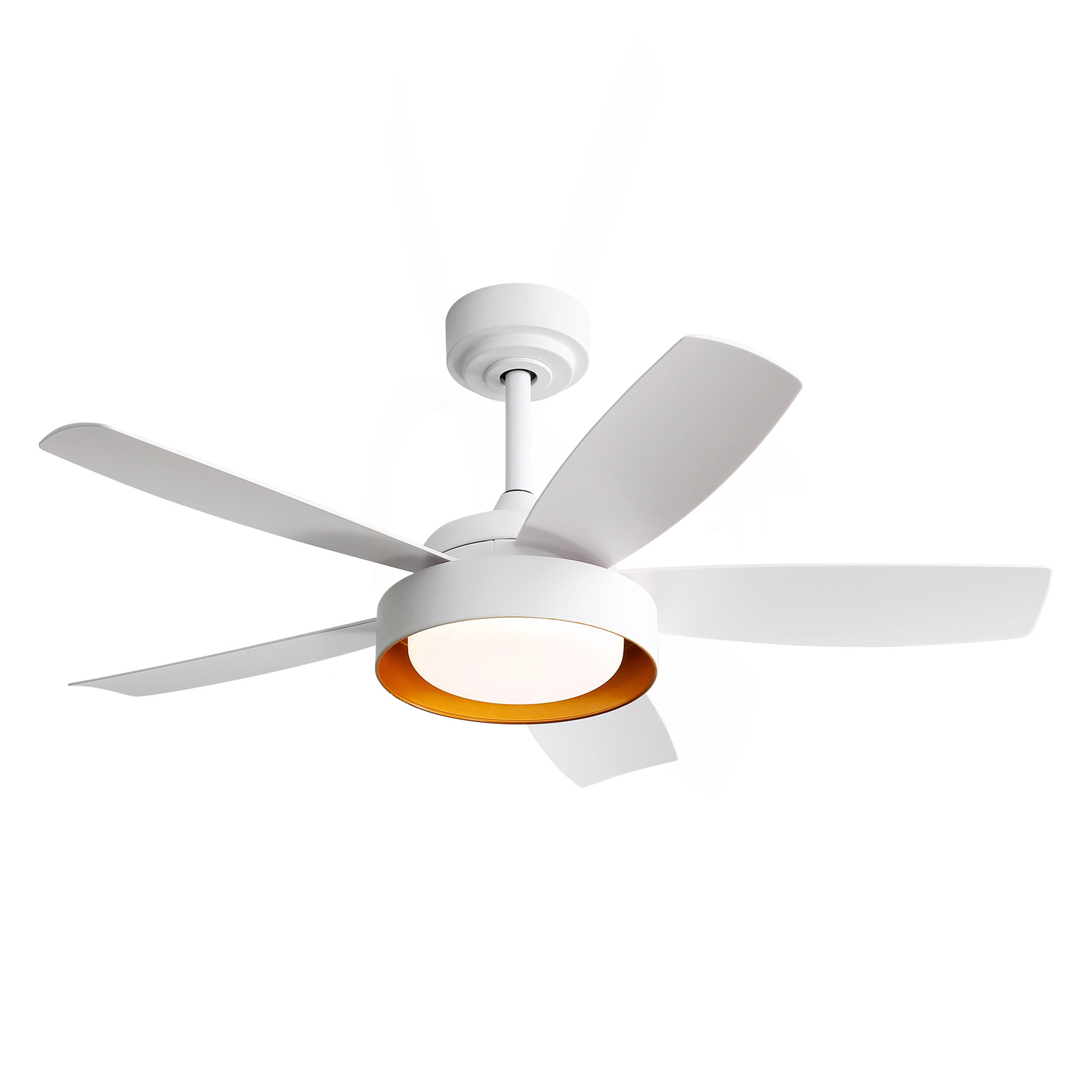 Wrought Studio™ 42 Inch Ceiling Fans With LED Light 22W And Remote ...