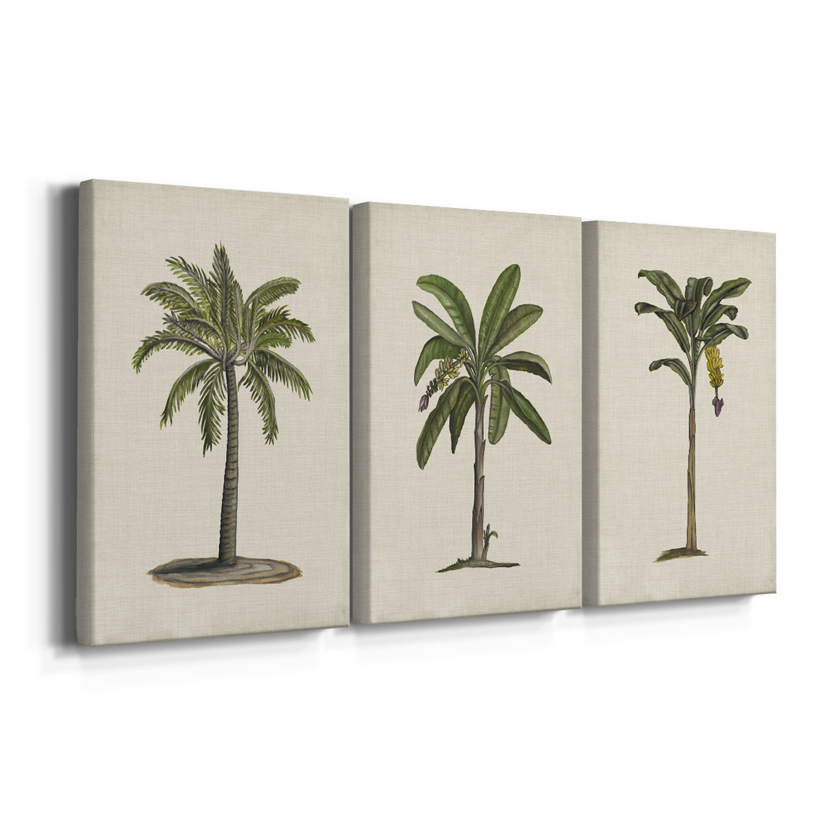 Alcott Hill® UA CH British Palms I -Custom Wrapped Gallery Canvas - 3 ...