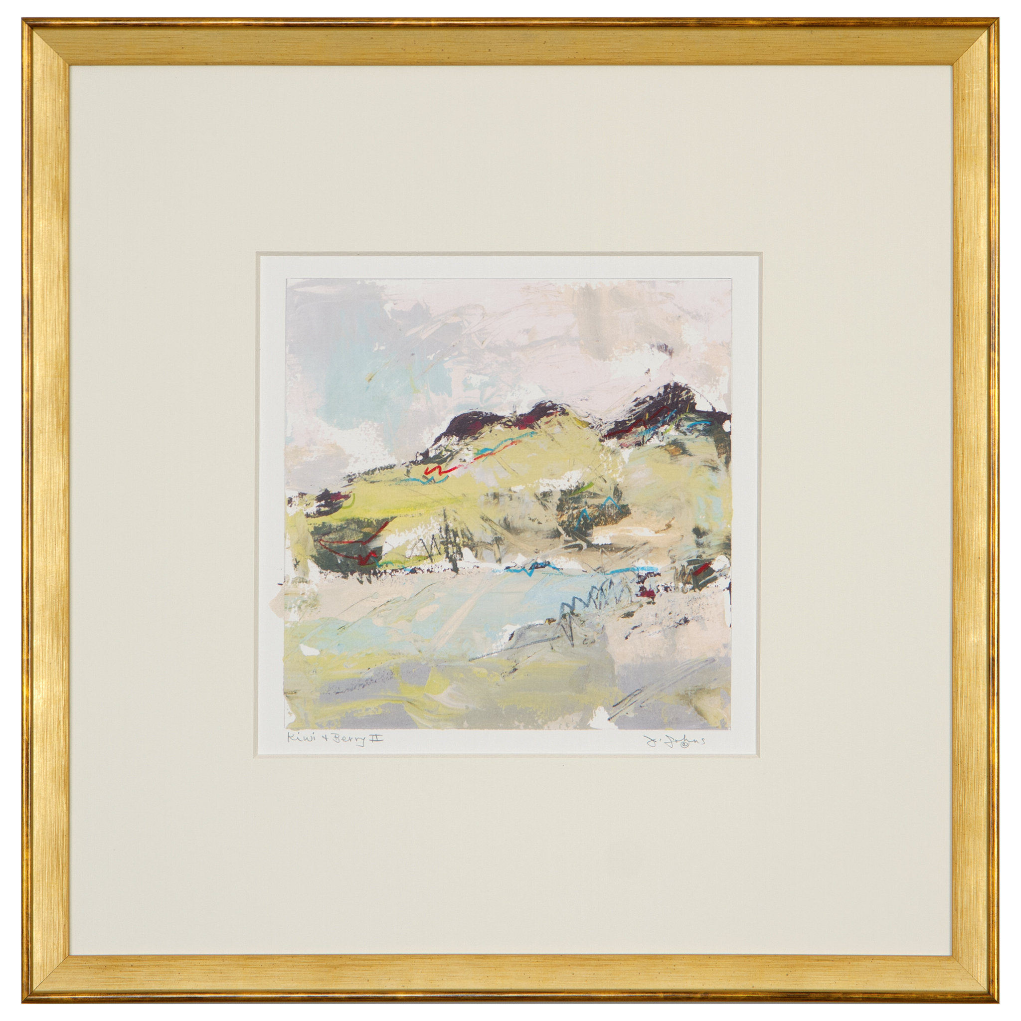 The Natural Light Kiwi and Berry II by J.Johns - Picture Frame Painting ...