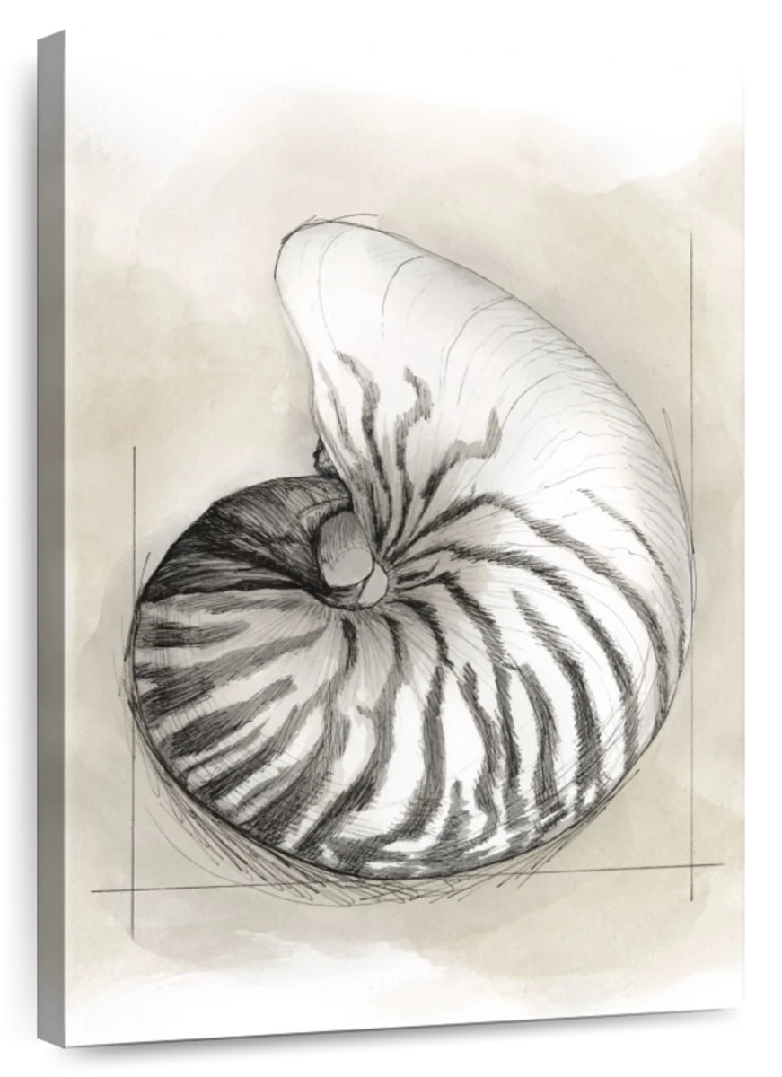 Ebern Designs Brampt Shell Schematic I | Wayfair