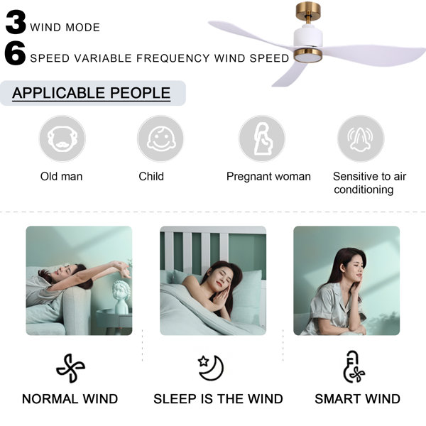 Everly Quinn Miajah Ceiling Fan with Light Kit with Remote Control and ...