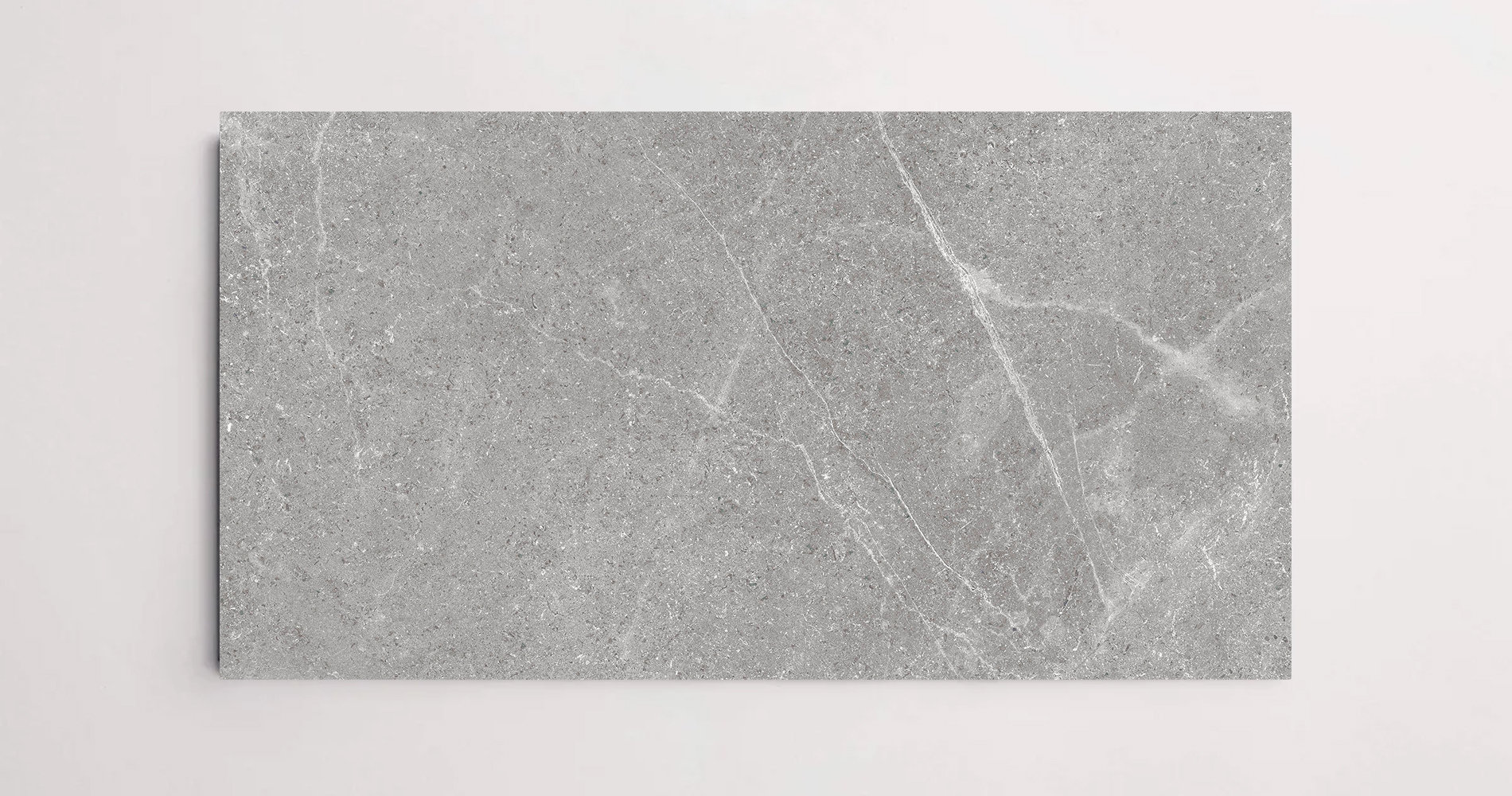 Nasco Stone + Tile Story 12" x 24" Matte | Joss & Main