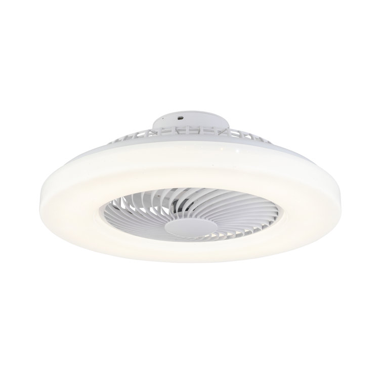 InTec 55cm Ceiling Fan with LED Lights | Wayfair.co.uk
