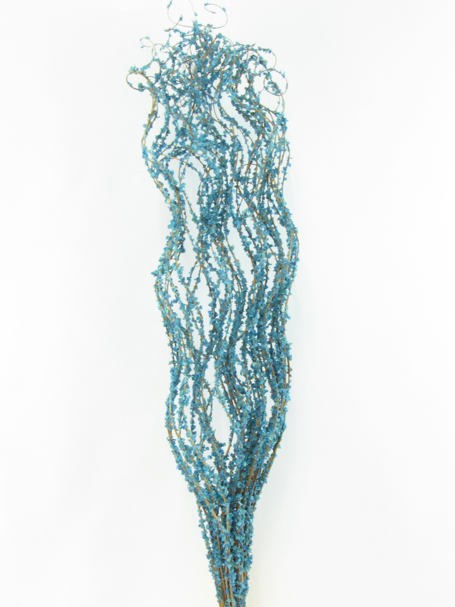 Primrue CURLY TING TING WITH YELLOW PETALS & Reviews | Wayfair