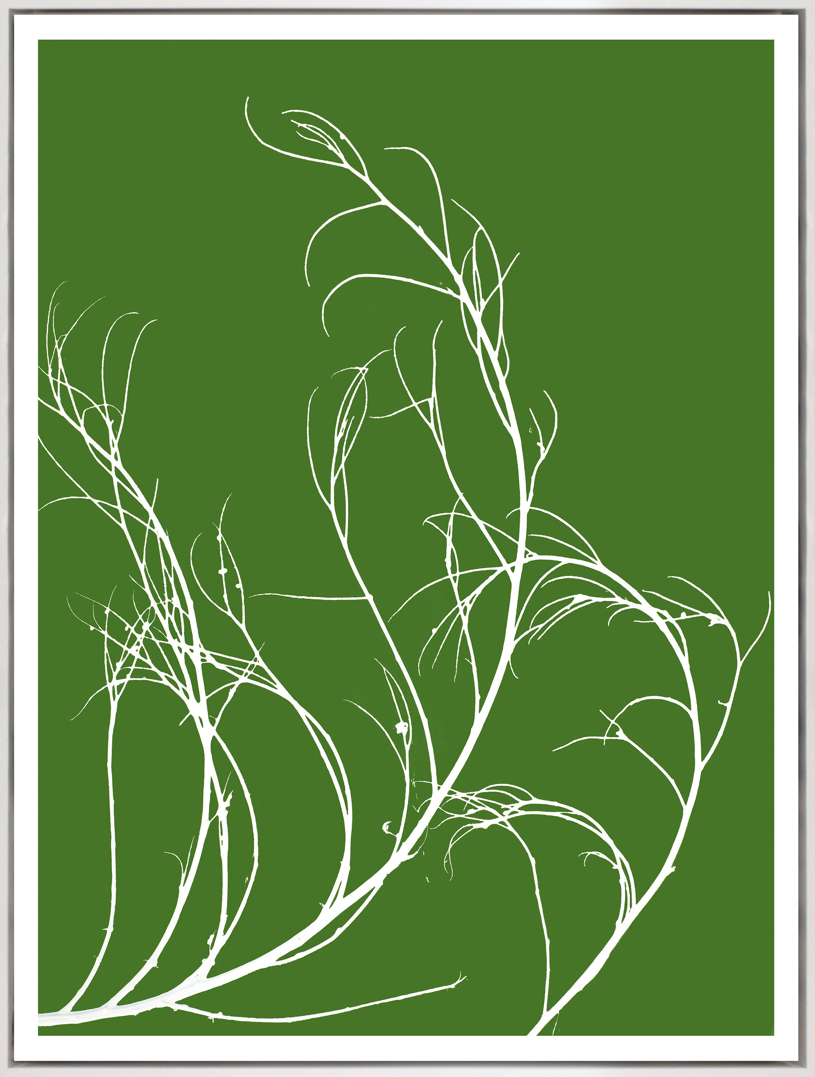 Yoffi Tumbleweed Botanical by Eric Linton - Print on Canvas | Perigold