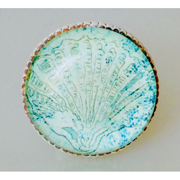 Charleston Knob Company Sea Shell Knob in Whitewash Pewter - Retro ...