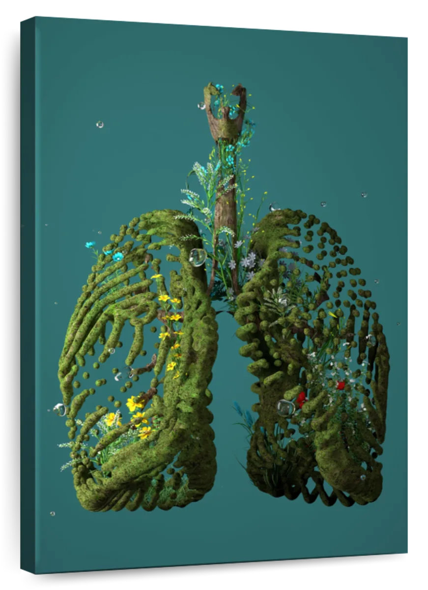 Trinx Khazi Clean Green Lungs | Wayfair