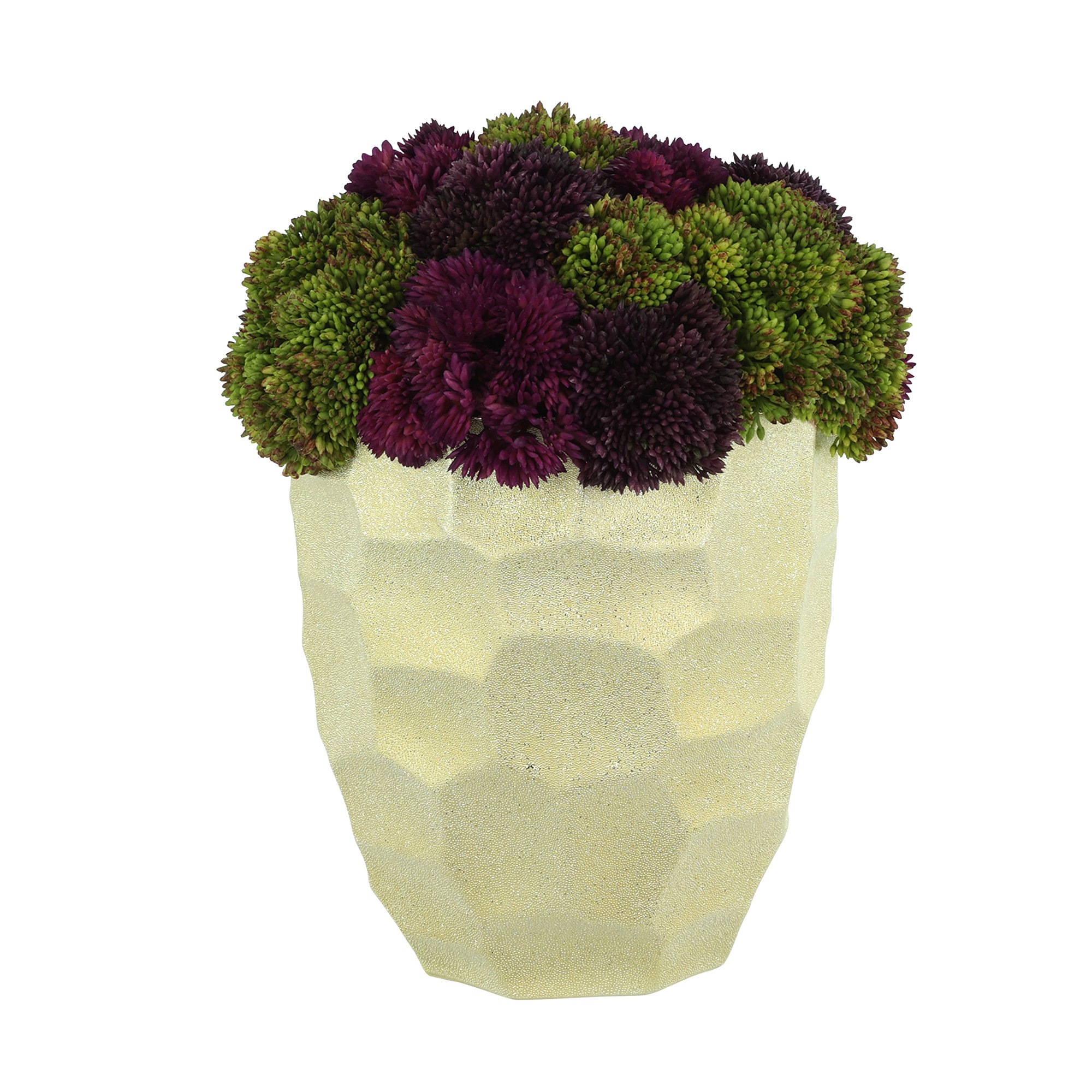 Primrue Assorted Sedum Arranged in Ceramic Vase - Wayfair Canada