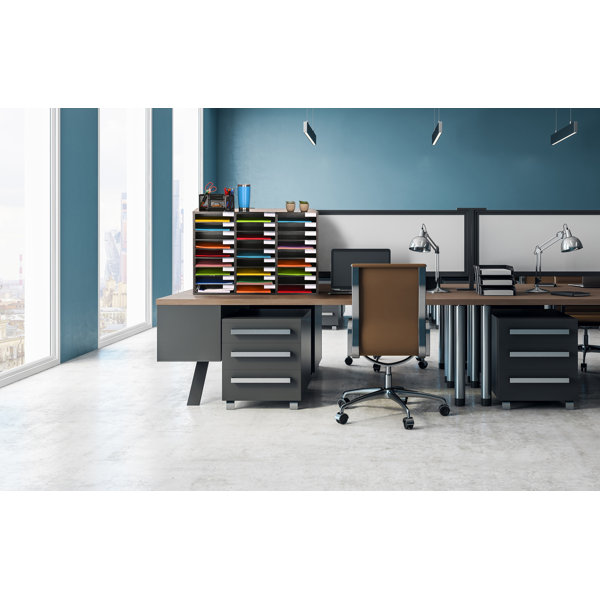 AdirOffice Manufactured Wood Compartment Mailroom Organizer | Wayfair