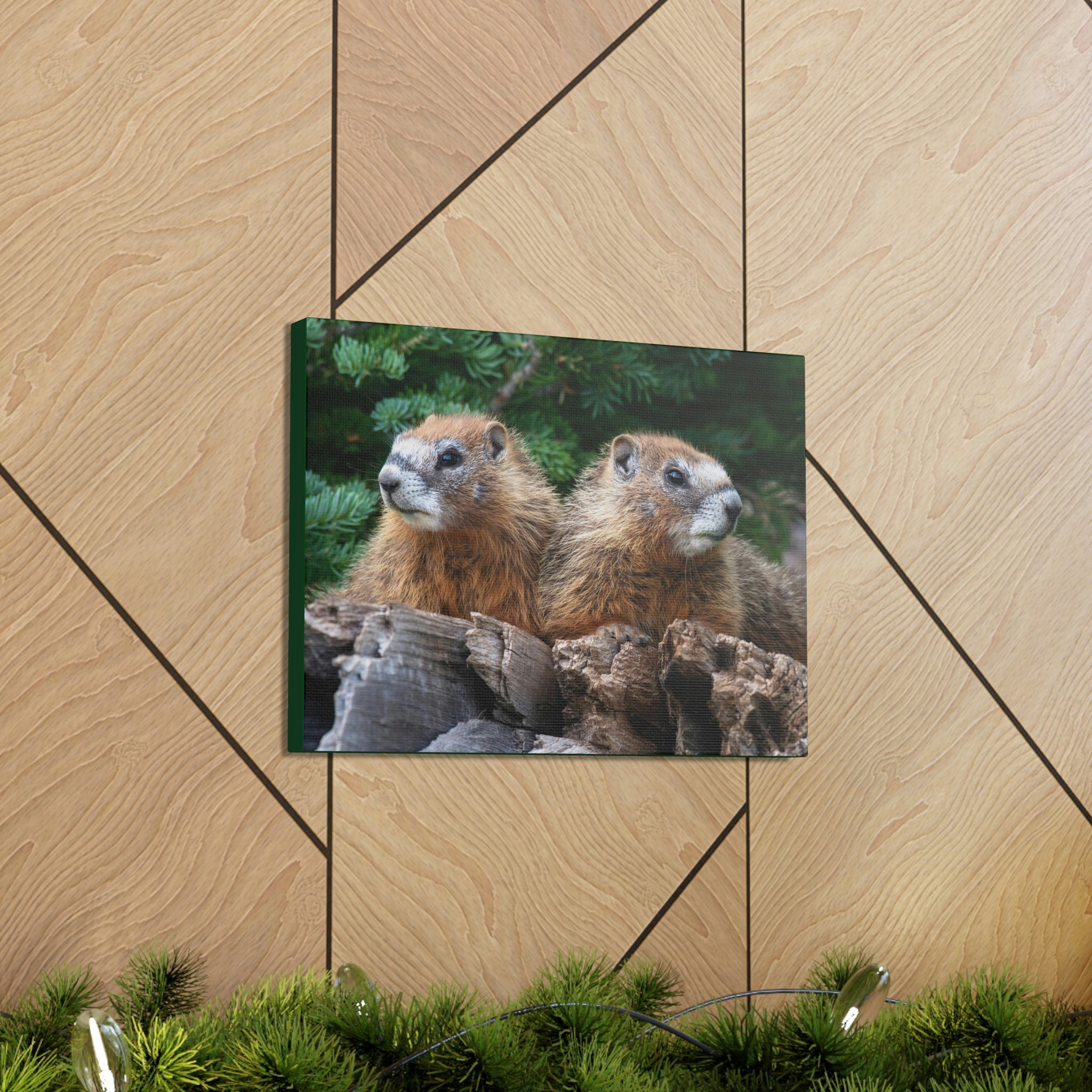 Millwood Pines Two Young Yellow Bellied Marmot on a Dead Tree Print ...