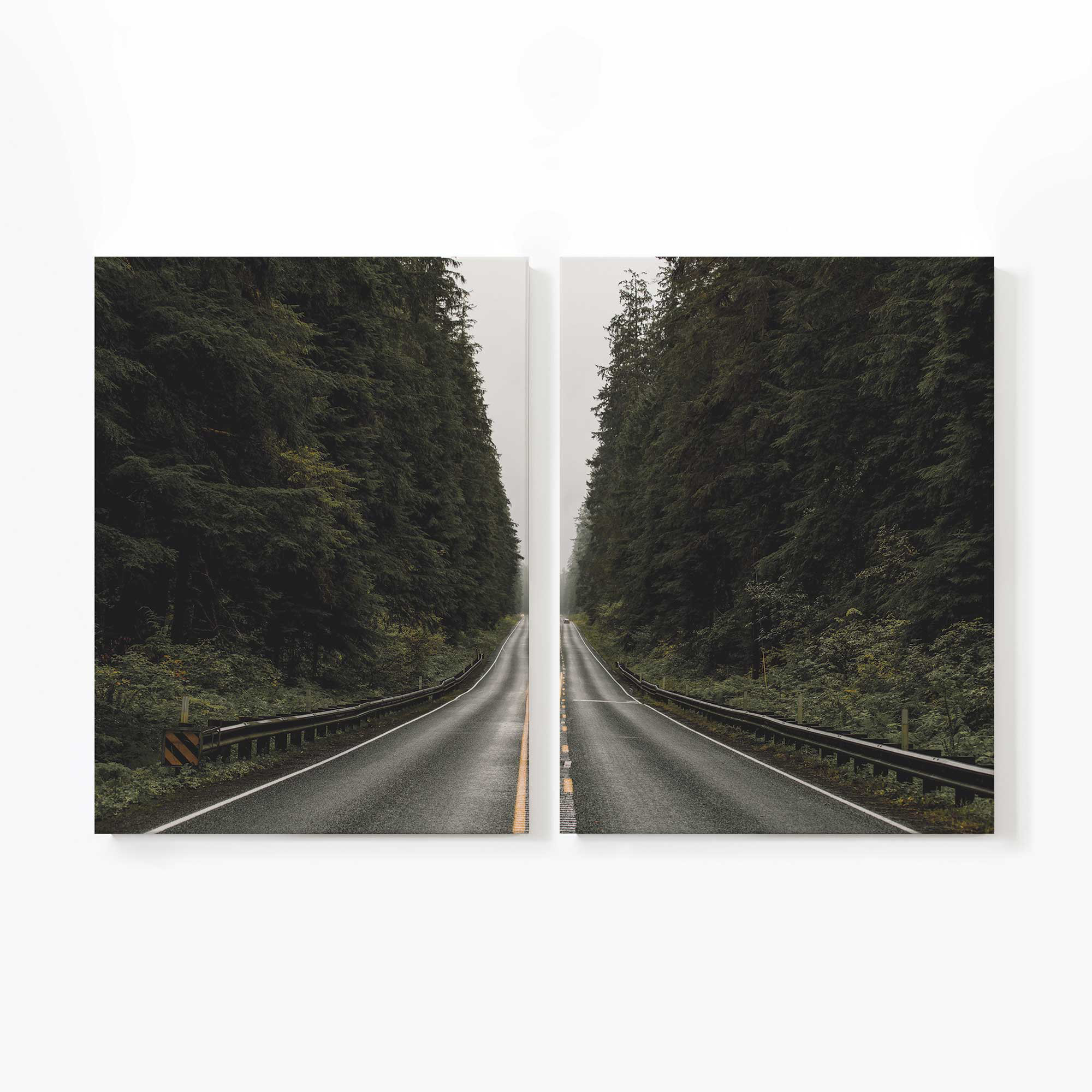 Frametolia Forest Road | 2 Panel Split Large Canvas Print | Wayfair