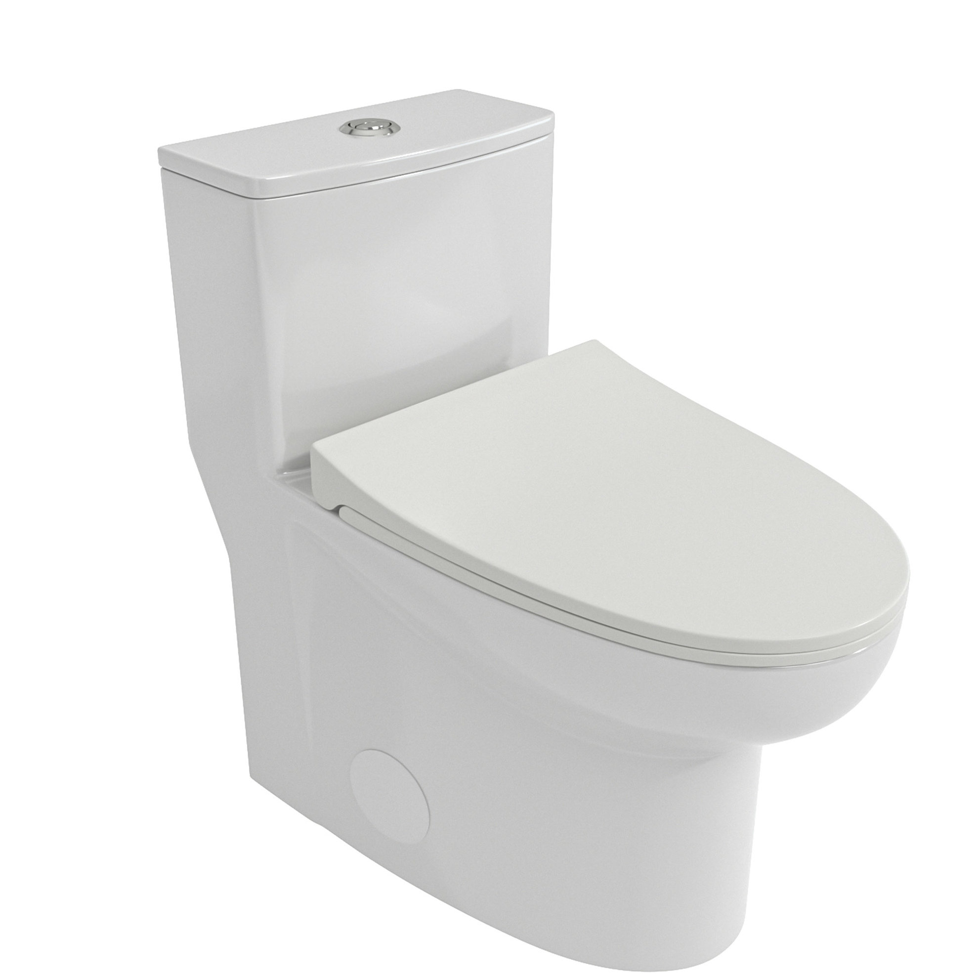 TUOXIN Dual Flush Ceramic Toilet With Material And User- Flushing ...