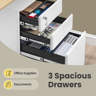 17 Stories Mobile Filing Cabinet With 3 Drawers, Lockable Metal Storage ...