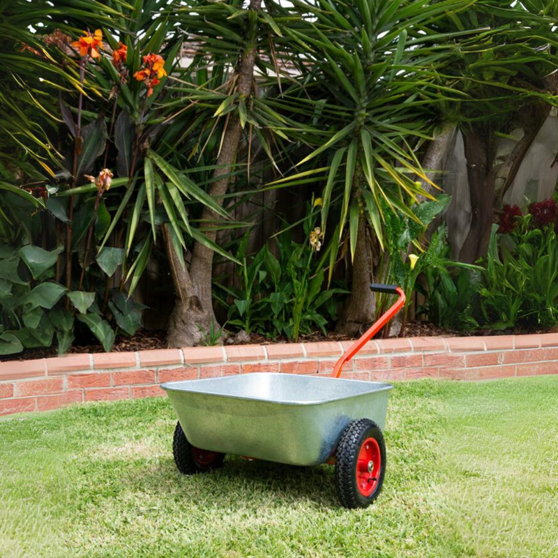 Daytek Galvanized Steel Homehandy Wheelbarrow | Wayfair