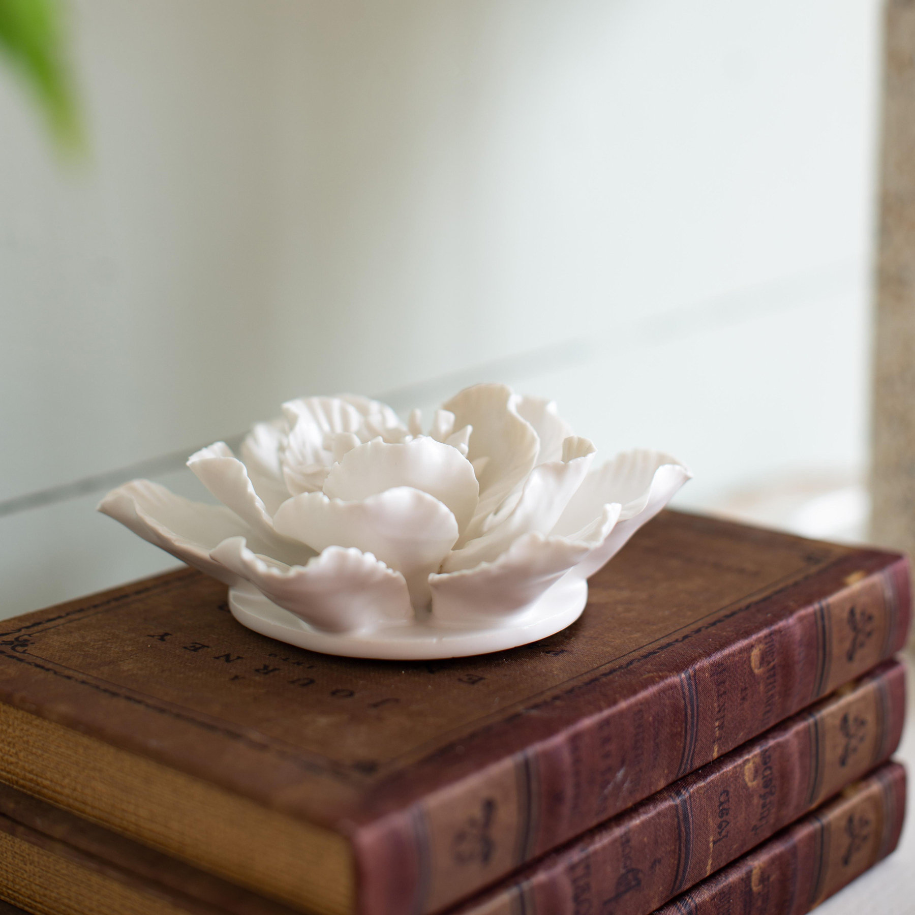 Ebern Designs D5.1x2.2" Handmade Cream Ceramic Flower Wall Decor Accent ...
