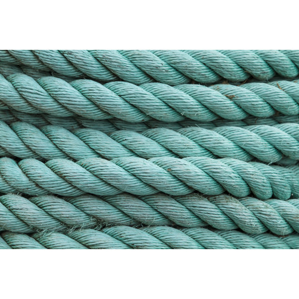 Bungalow Rose Green Rope On Canvas Print | Wayfair