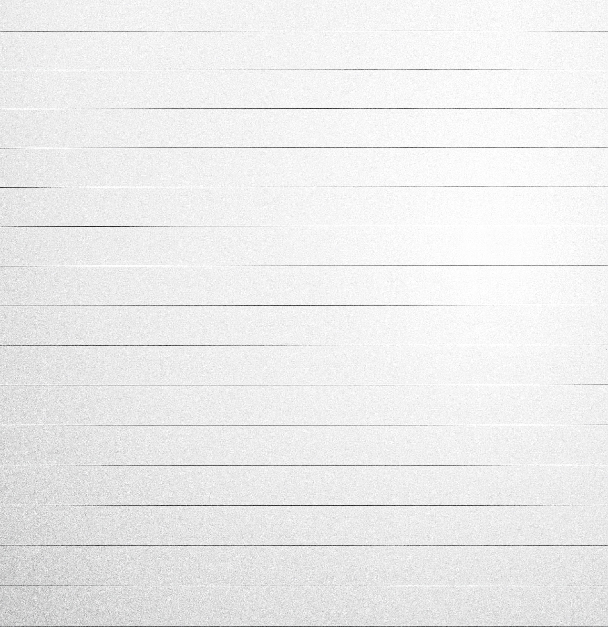 Ninth & Vine Classic Shiplap Wall Paneling in White| Wayfair