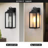 Winston Porter 12” 1-Light Black Outdoor Wall Light & Reviews | Wayfair