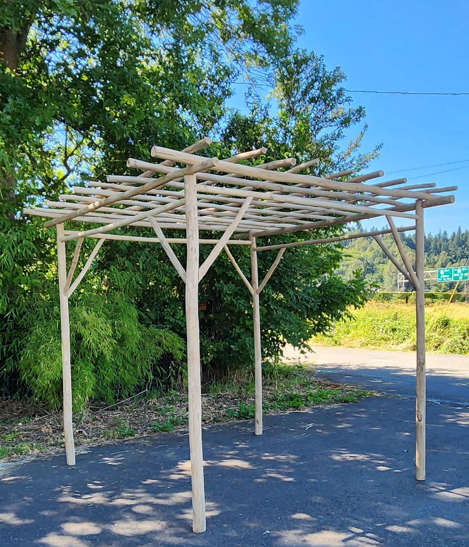 MGP 10 Ft. W x 10 Ft. D Solid Wood Pergola | Wayfair