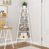 Zipcode Design™ Azariah 5-Tier Iron Corner Shelf, Freestanding Ladder ...