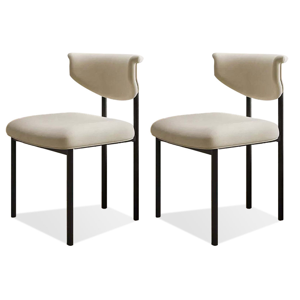Corrigan Studio® Solid back side Chair(Set of 2) | Wayfair