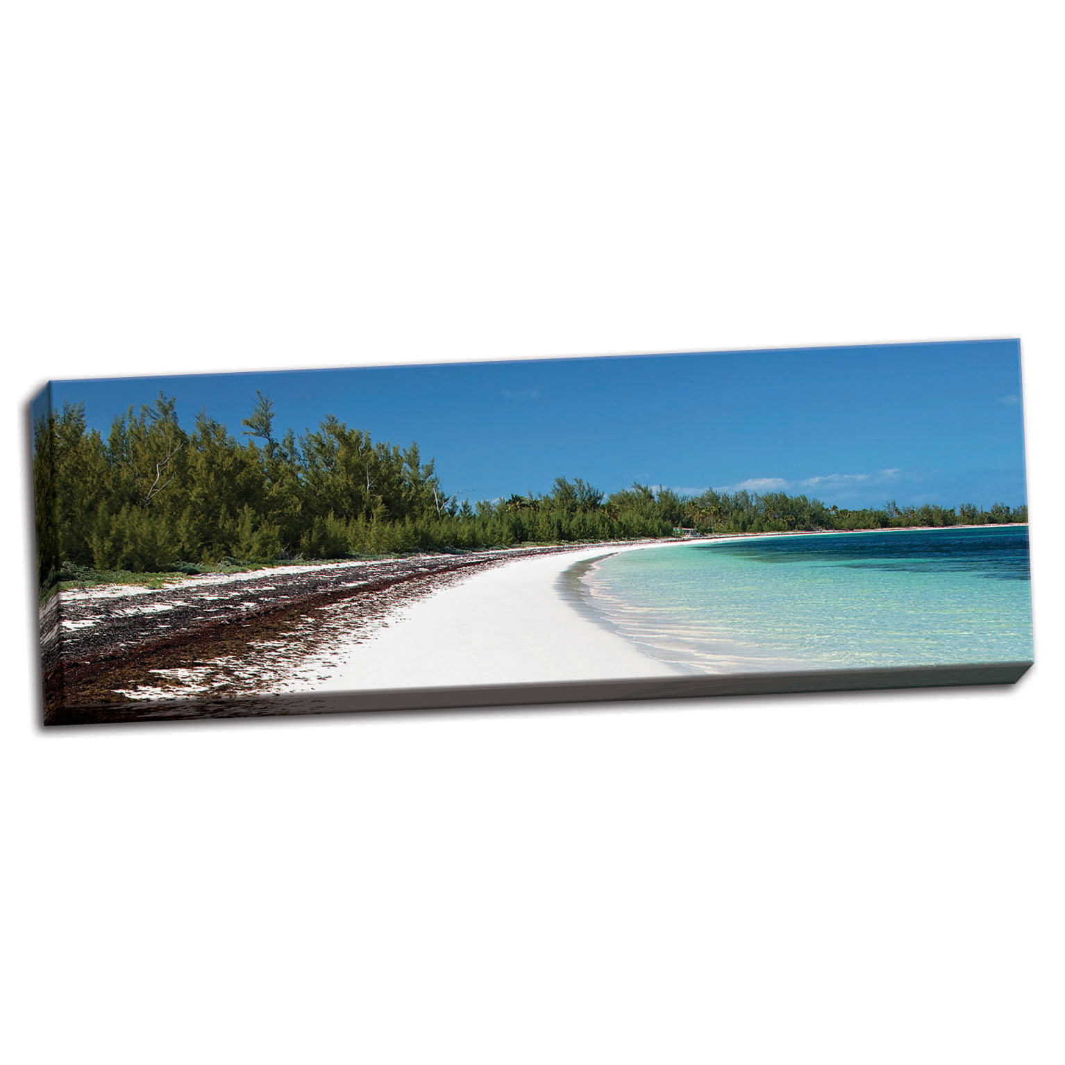 Highland Dunes 'Winding Bay Beach II Panel' Photographic Print on ...